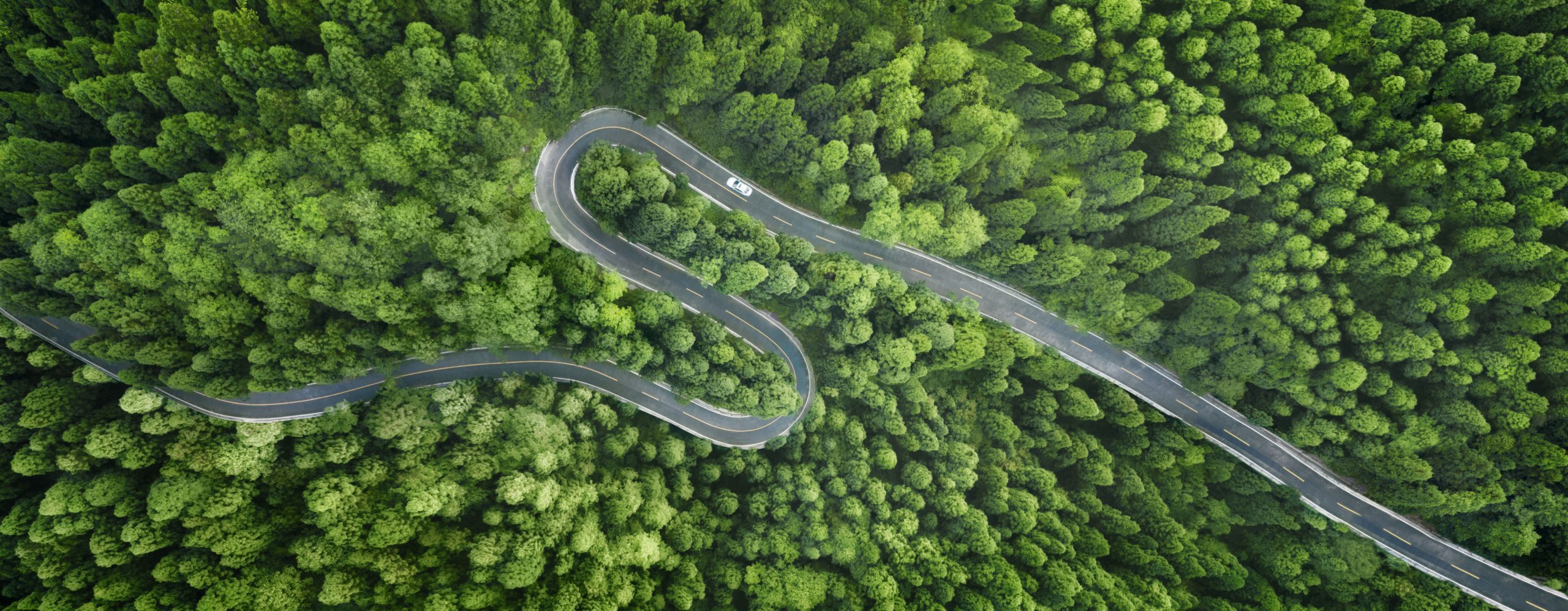 DOL and Rollovers: A Long and Winding Road | Oyster Consulting